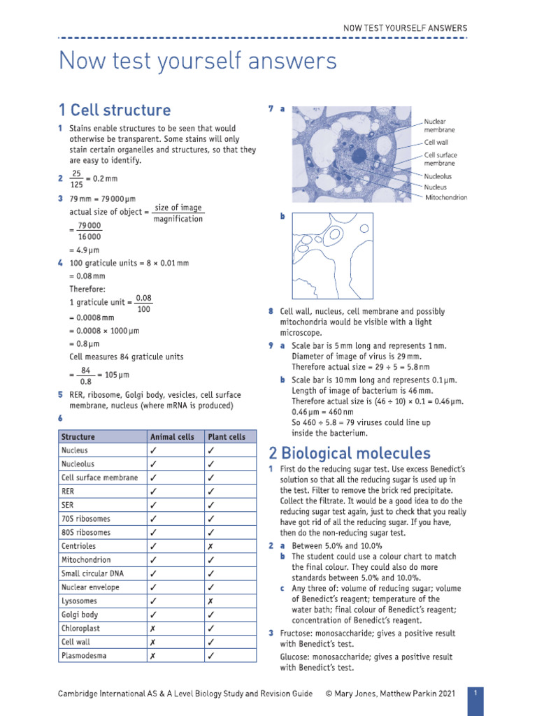 Hodder Study Rev Answers | PDF