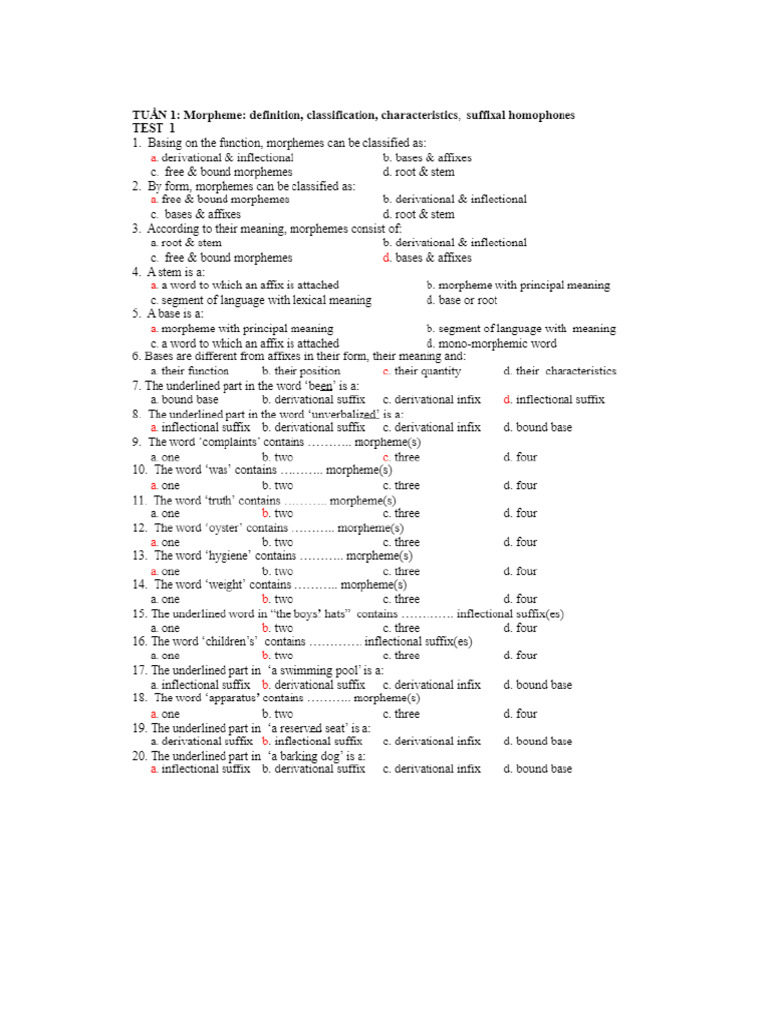 Exercise Morphology | PDF