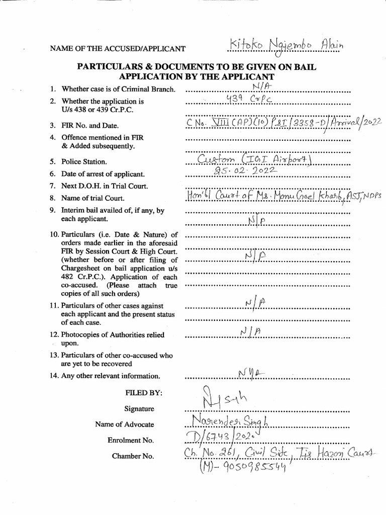 Bail | PDF