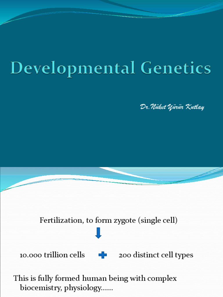 Developmental Genetics 2021 | PDF | Genetics | Cell Biology