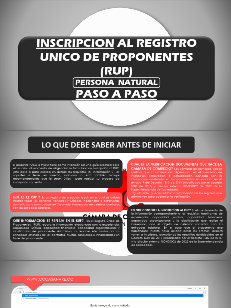 Paso A Paso Inscripcion Rup P. Natural 2024 | PDF | Contabilidad ...