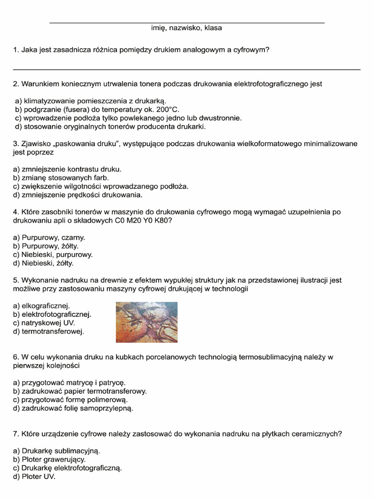 SPR Druk Cyfrowy Techniki Druku | PDF