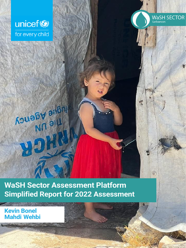 Wap 2022 Report | PDF | Wash | Survey Methodology