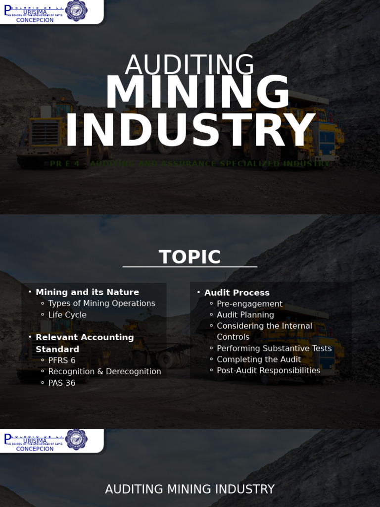 Auditing Mining Industry | PDF | Audit | Mining