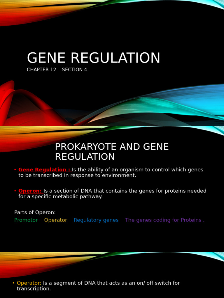 Gene Regulation PPP | PDF
