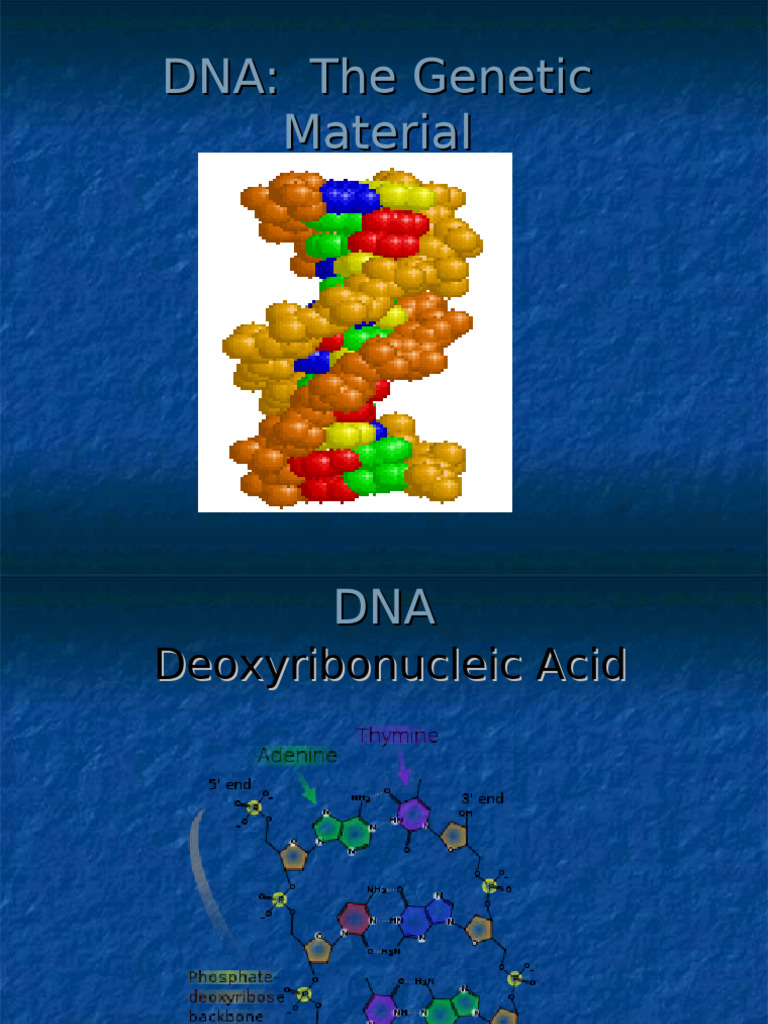 DNA The Genetic Material-1 | PDF