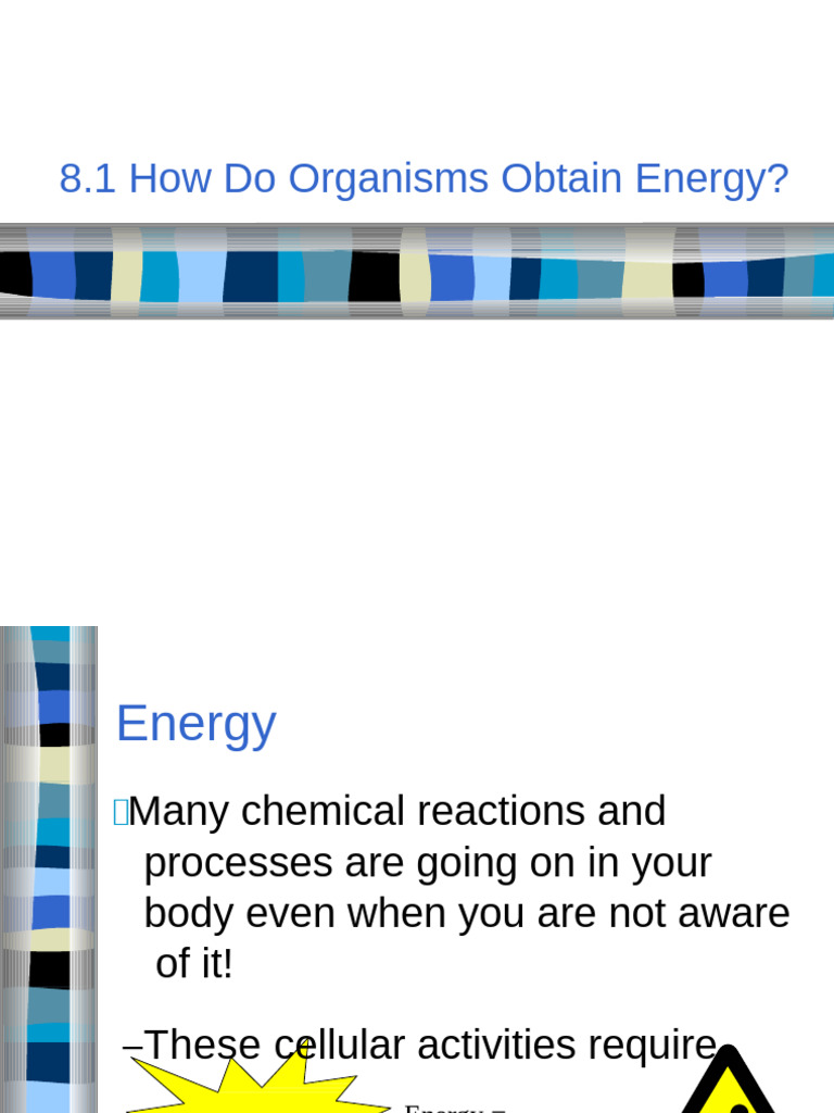 How Organisms Obtain Their Energy | PDF