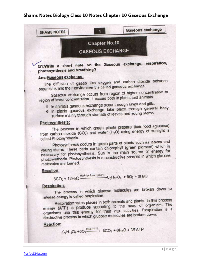 Shams Notes Biology Class 10 Notes Chapter 10 Gaseous Exchange | PDF ...