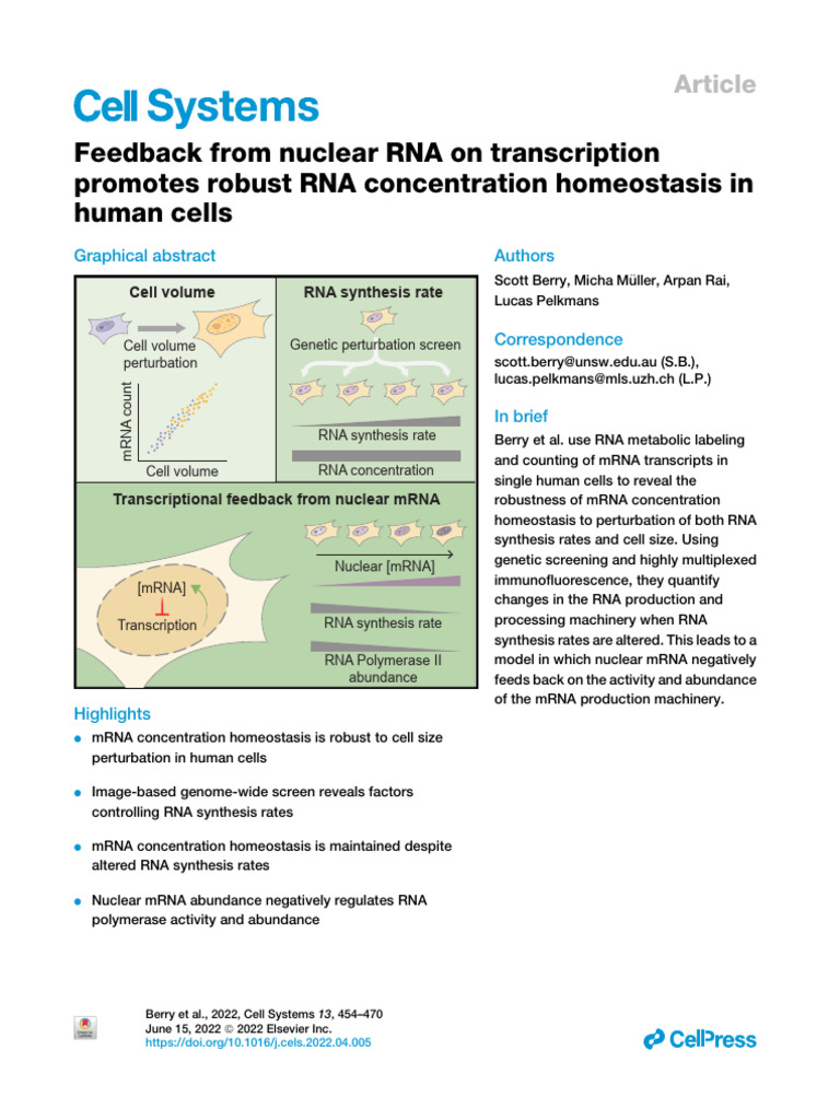 All mRNA-FISH | PDF | Messenger Rna | Rna