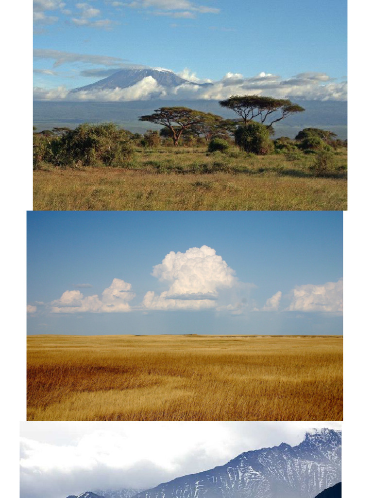 Biome Quiz Powerpoint EE 2023 | PDF