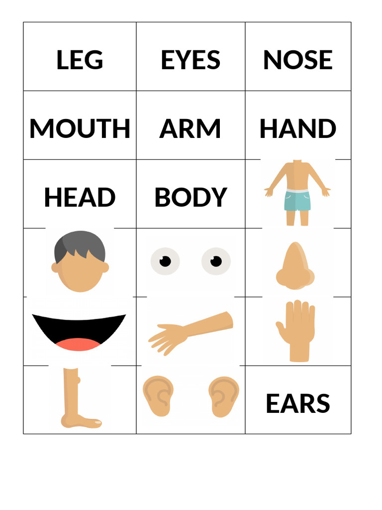 Memory Game Parts of The Body | PDF
