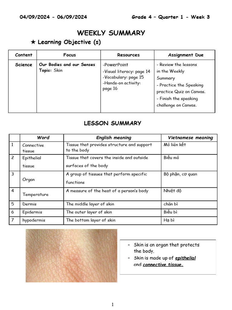 Weekly Summary - Grade 4 - Q1 - W3 - Science-1 | PDF | Skin | Tissue ...