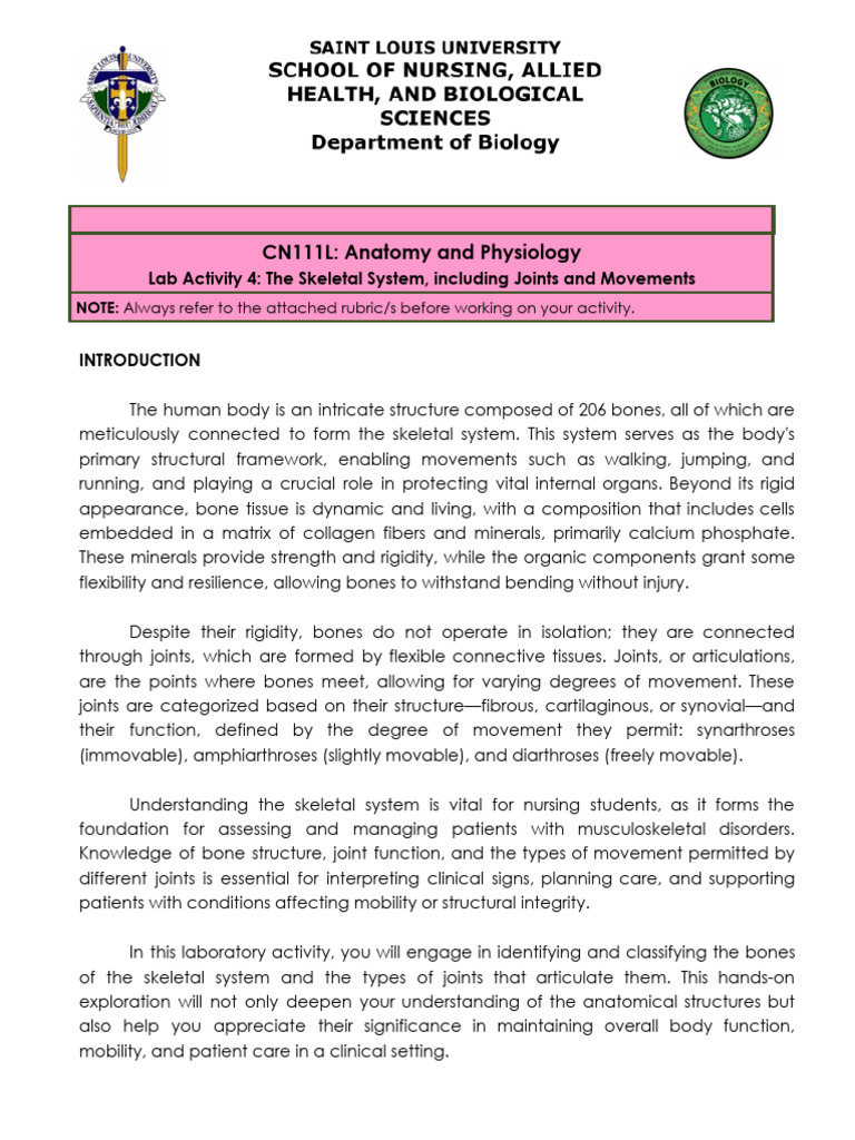 Anatomy Lab: Skeletal System Basics | PDF | Anatomical Terms Of Motion ...