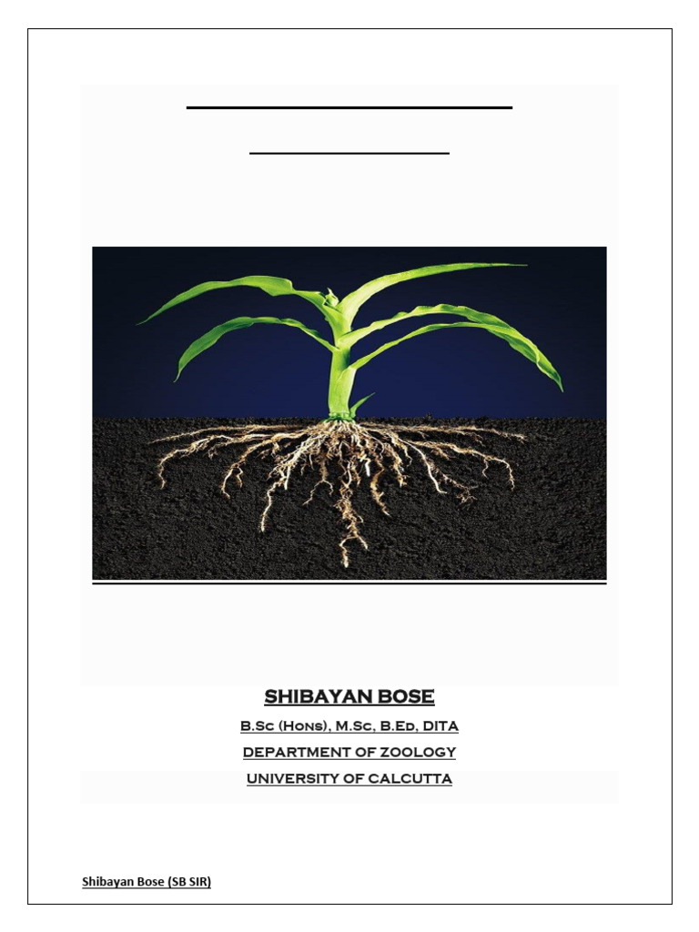 ROOT SYSTEM | PDF | Root | Trees