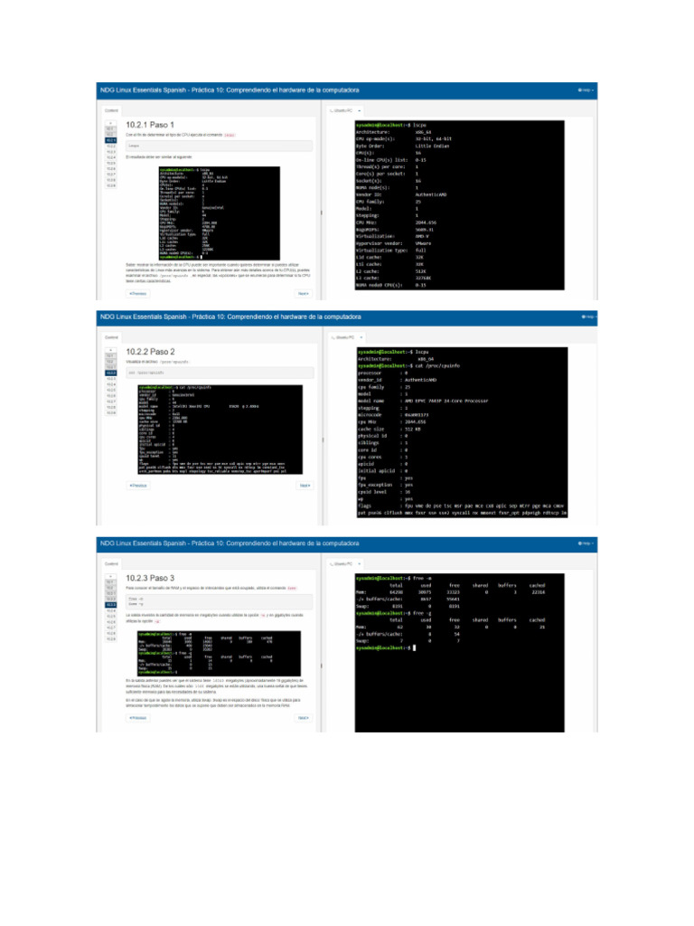 Practica No.10 | PDF