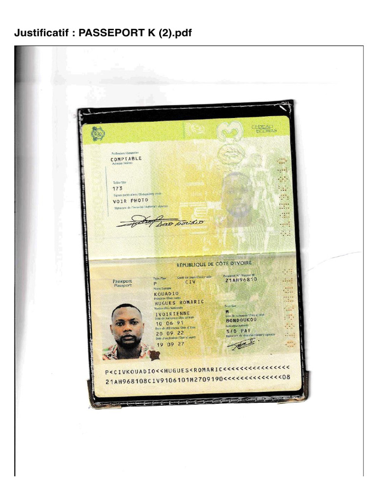 Passeport K PDF | PDF