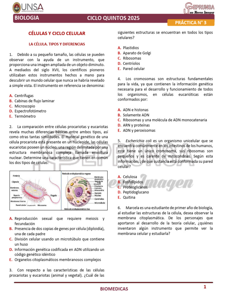 Biologia Practica 3 | PDF | Mitosis | Membrana biológica