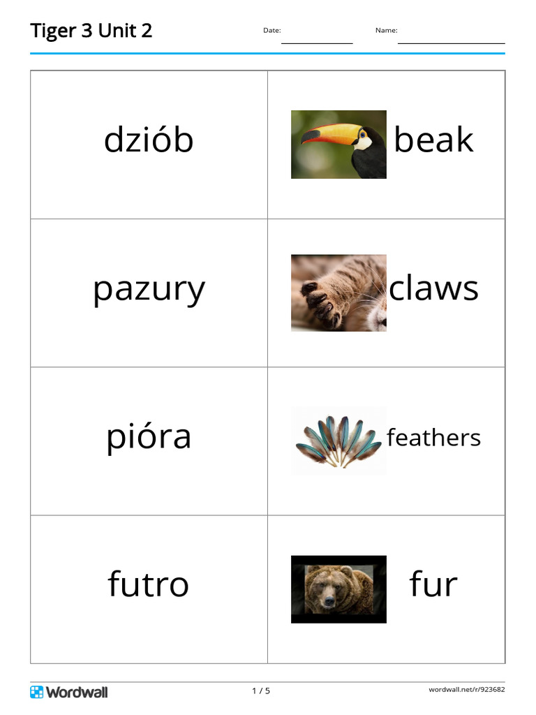 Tiger 3 Unit 2 Flash Cards | PDF