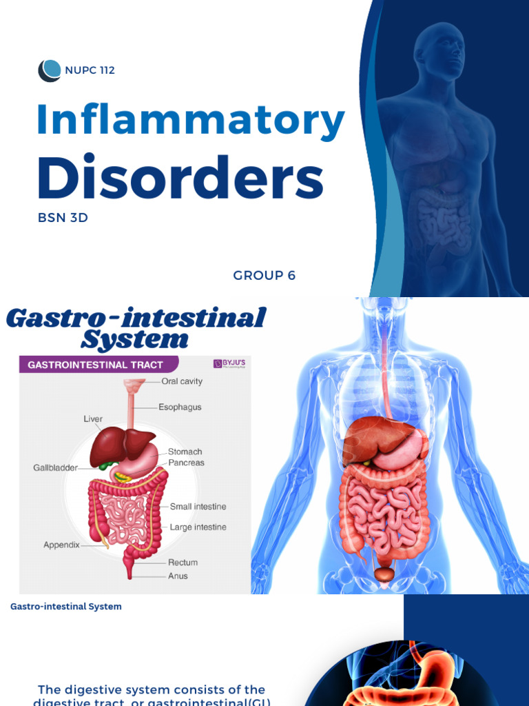 Medsurg Inflammatory Pdf Pdf Pancreas Human Digestive System