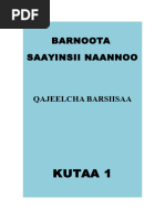 Saayinsii Naannoo Kutaa 2 | PDF