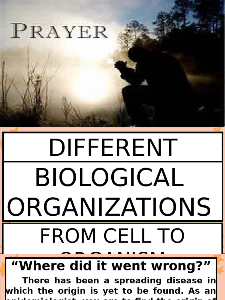 Cell to Biosphere | PDF | Tissue (Biology) | Cell (Biology)