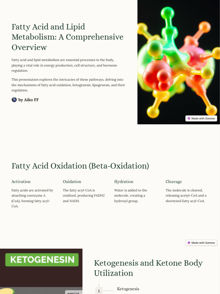Fatty Acid and Lipid Metabolism Guide | PDF | Metabolism | Lipid