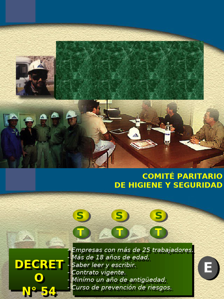 Comite Paritario de Higiene y Seguridad | PDF