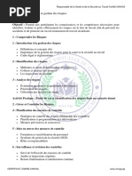 Acciline Gestion Innovante Des Risques Professionnels (1) | PDF ...