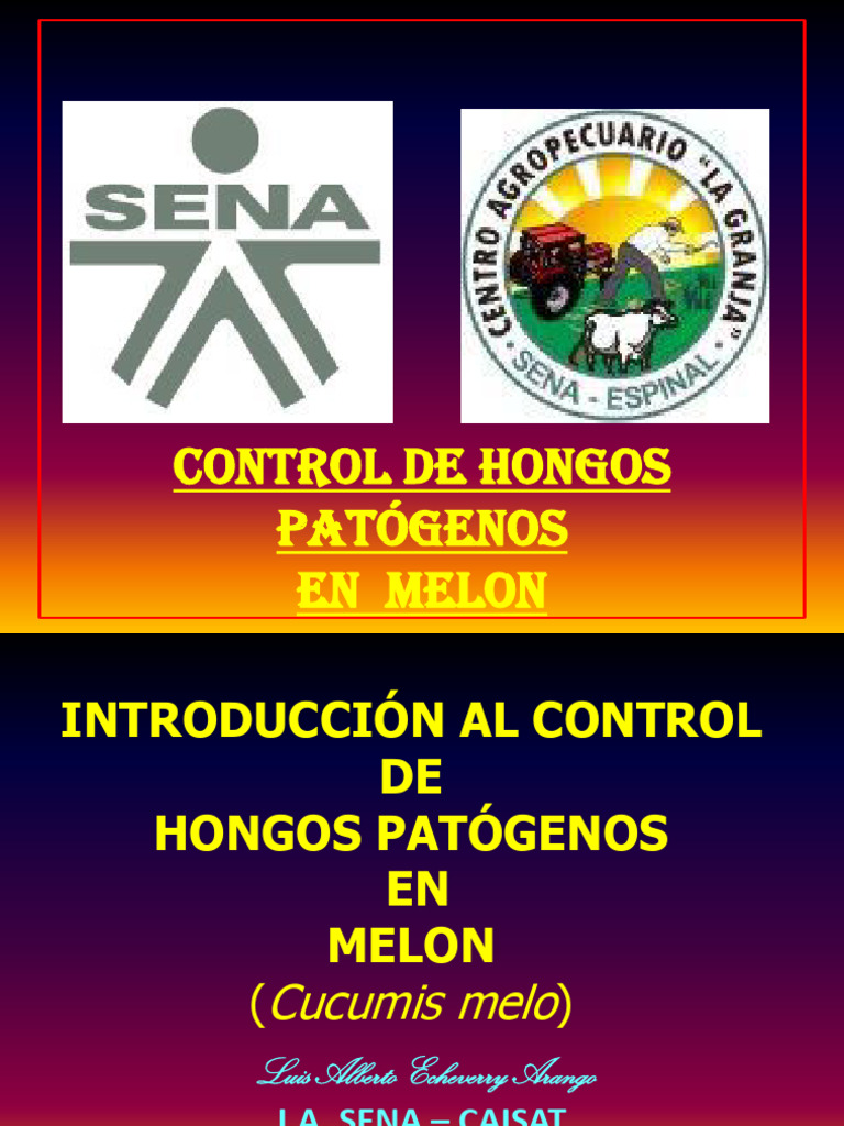 Control de Hongos Patógenos en Melón | PDF | Virus | Botánica