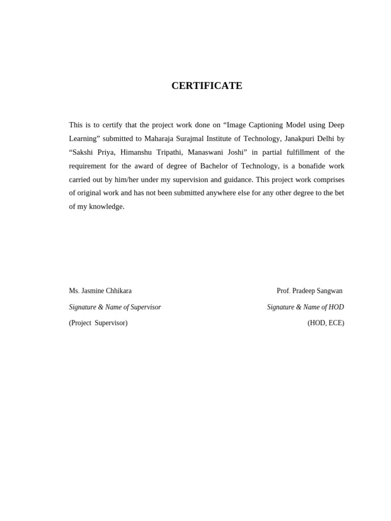 Minor Certificate | PDF