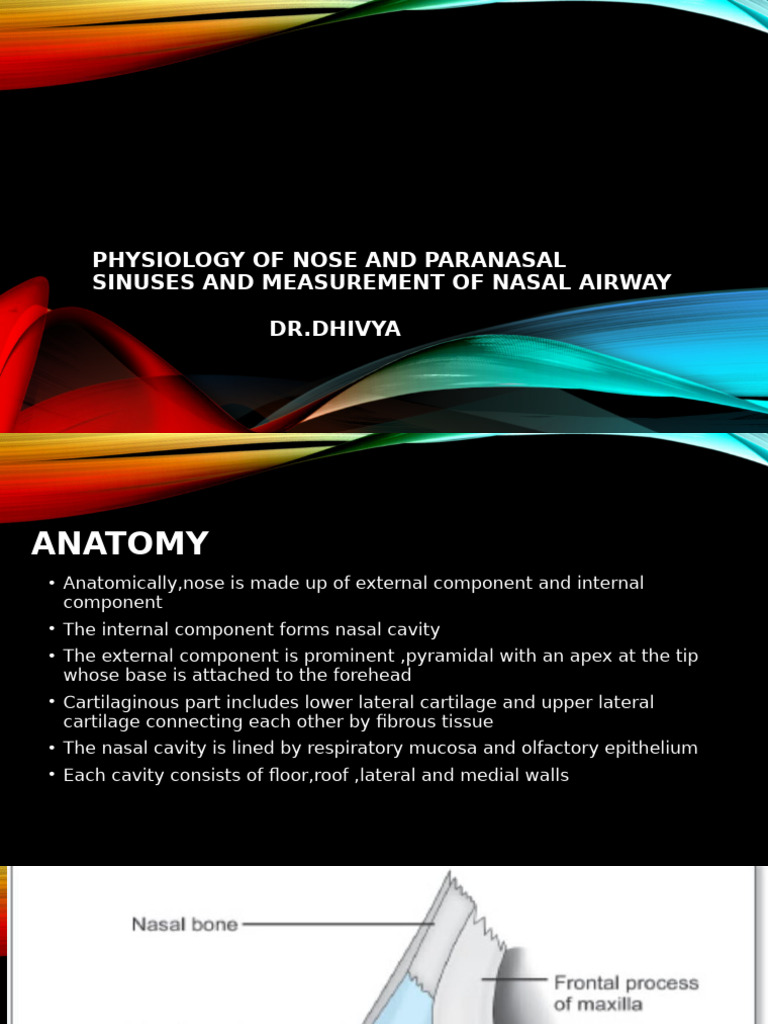 Physiology of Nose and Paranasal Sinus and Measurement of Nasal | PDF ...