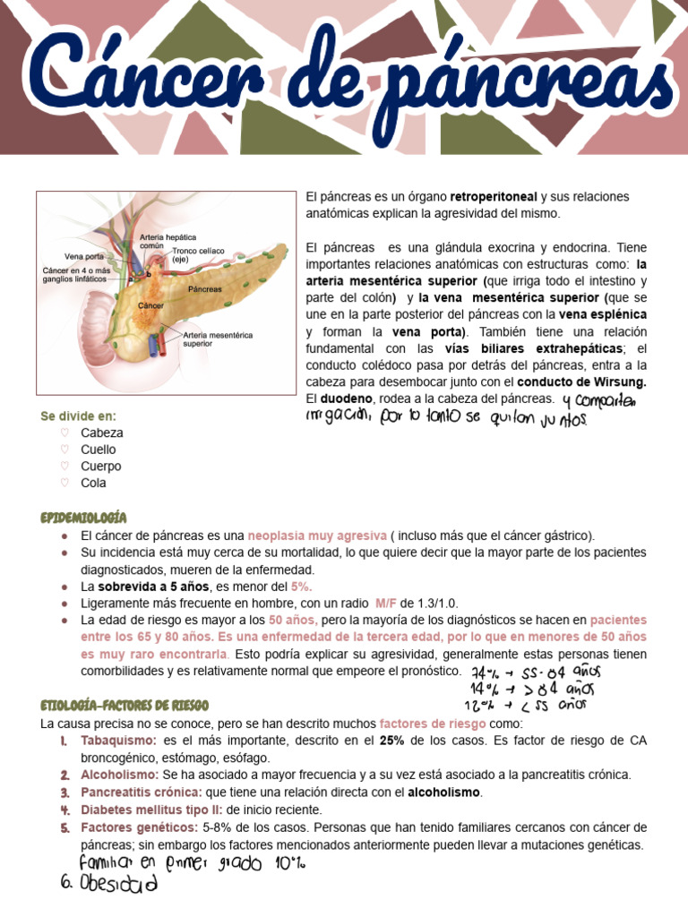 Ca de Páncreas | PDF | Cáncer de páncreas | Páncreas