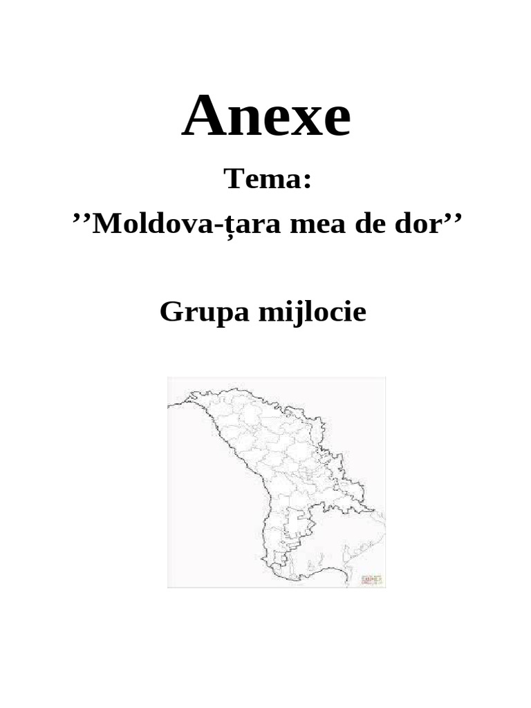 Foaie de Titlu Anexe | PDF
