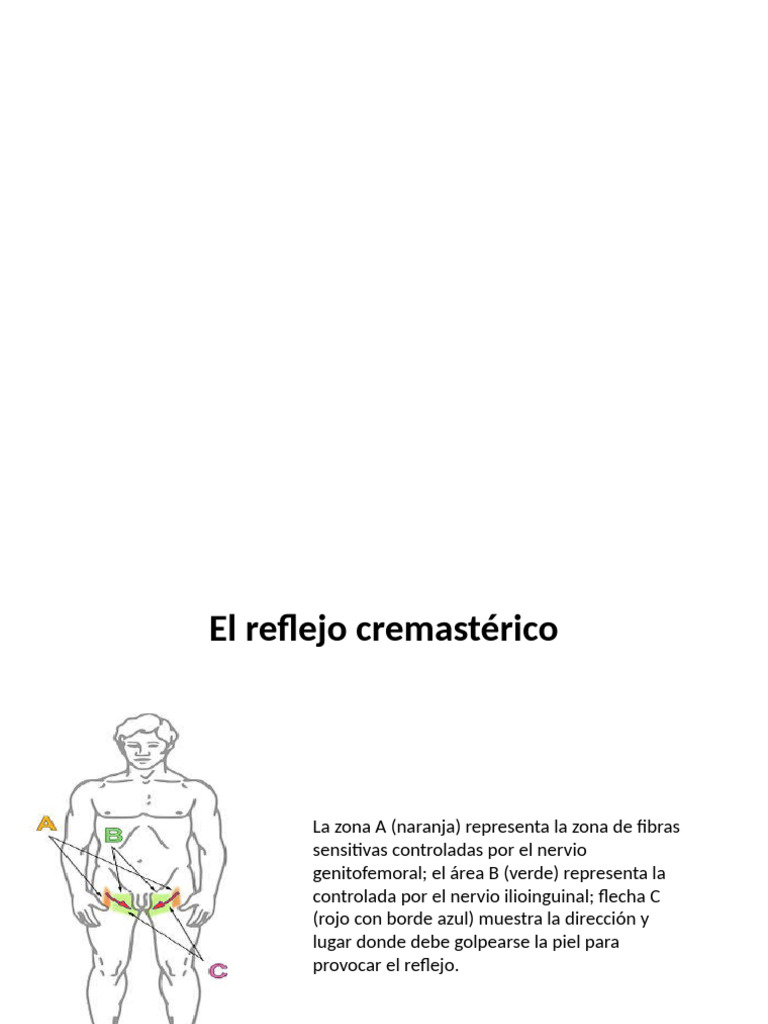 REFLEJOS | PDF | Ciencia y matemáticas
