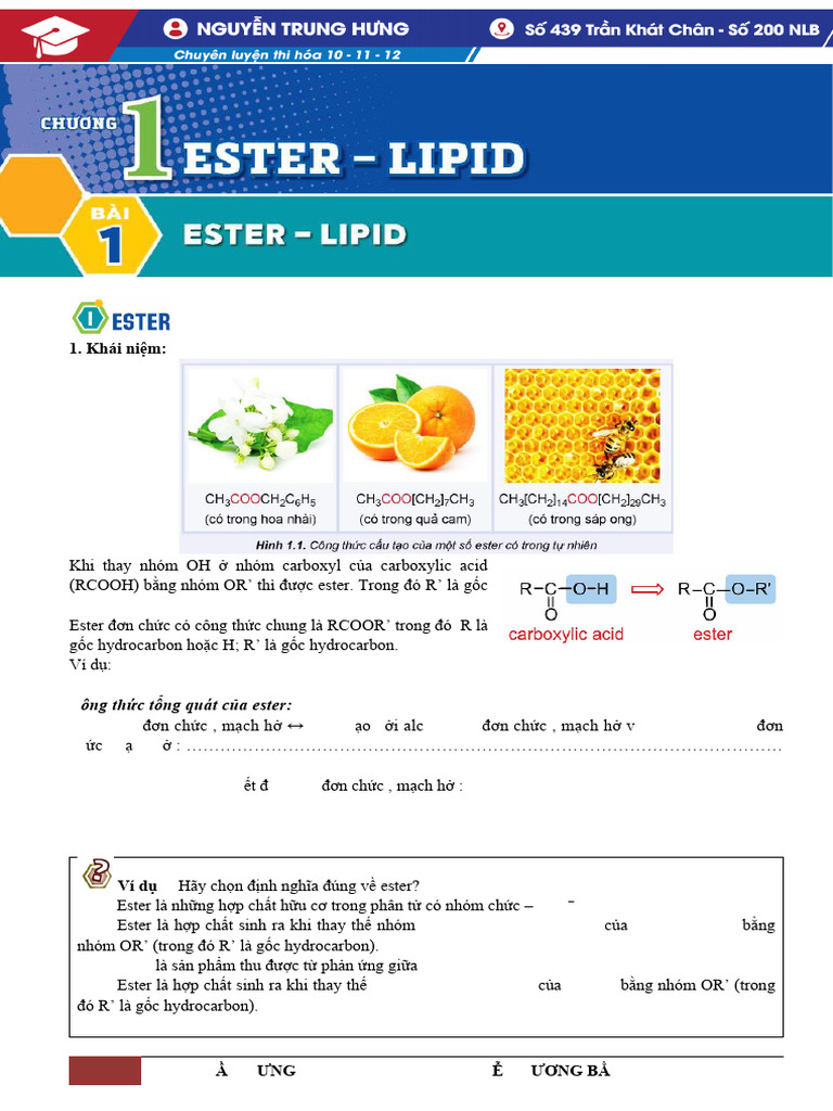 Ester B1 | PDF