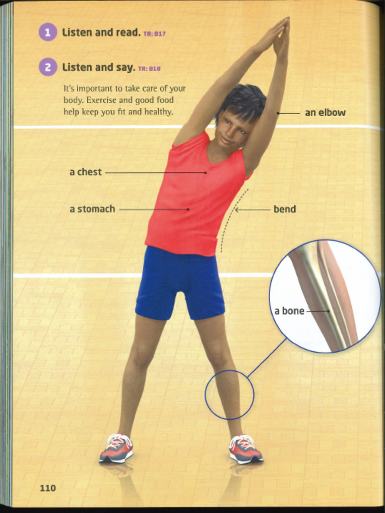 Our World 3. Unit 7 | PDF