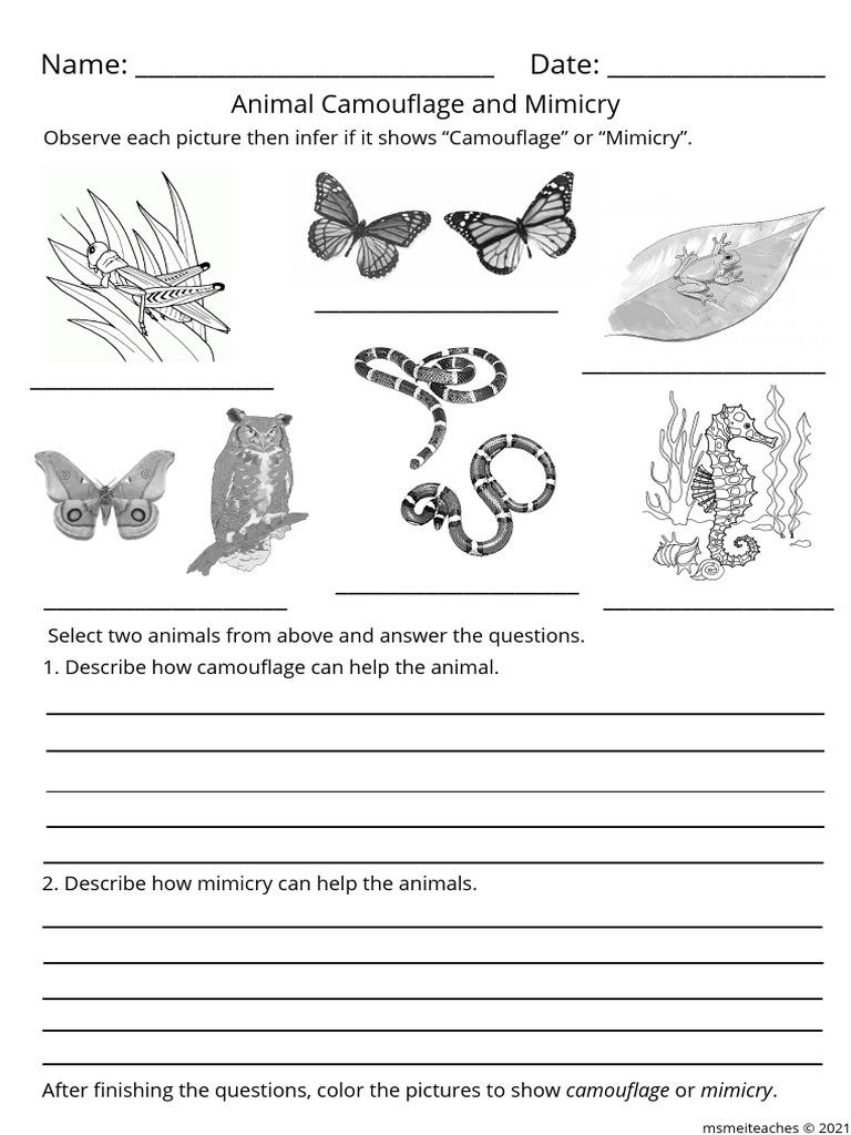 Name: - Date: - : Animal Camouflage and Mimicry | PDF | Games & Activities
