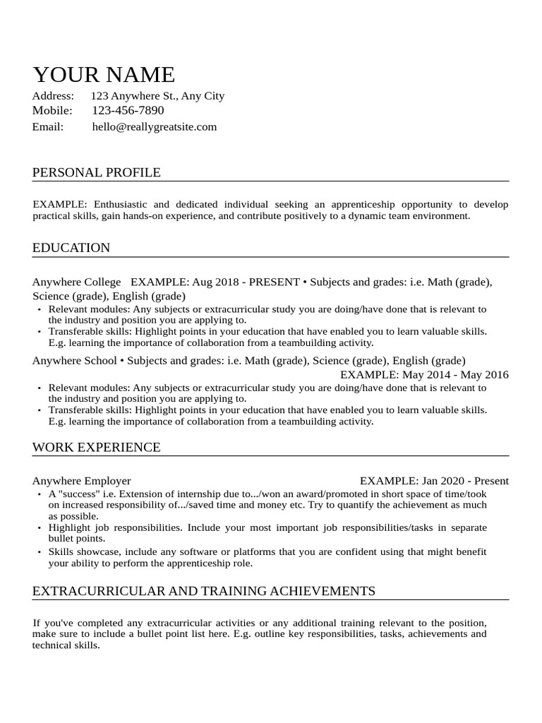 Apprentice CV Example | PDF