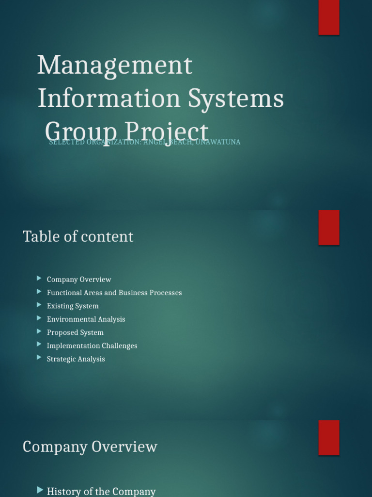 Management Information Systems | PDF