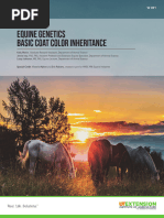 Wolvden Base Coat Genetics Guide | PDF | Nature