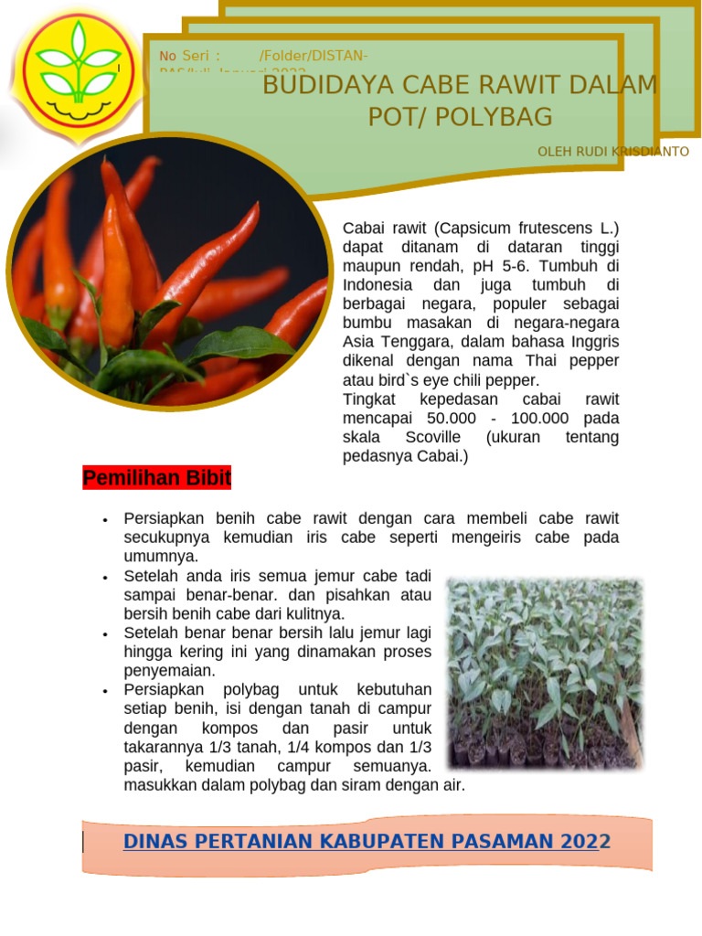 01 Cabai Rawit | PDF | Griya & Taman