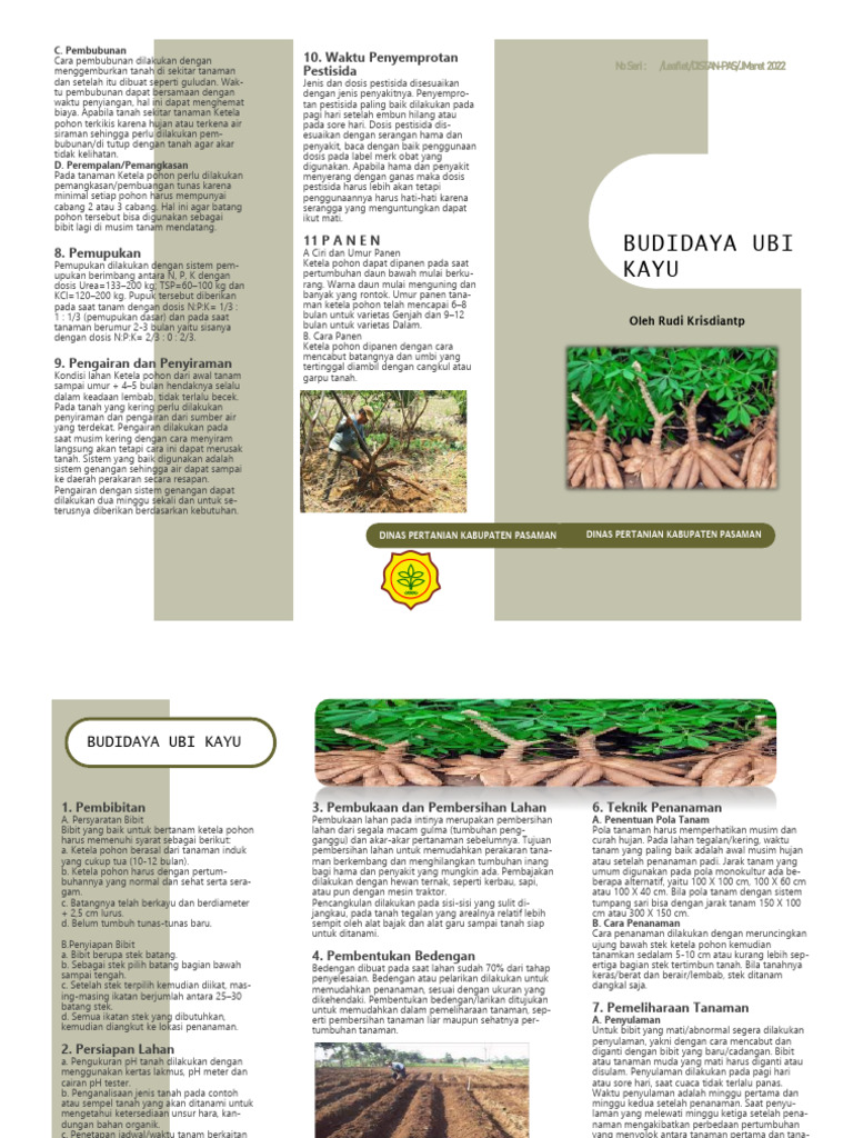 07 Budidaya Ubi Kayu | PDF