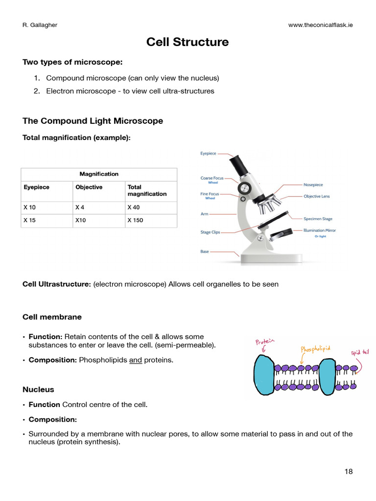 Overview of Cell Structure and Types | PDF | Cell (Biology) | Organelle