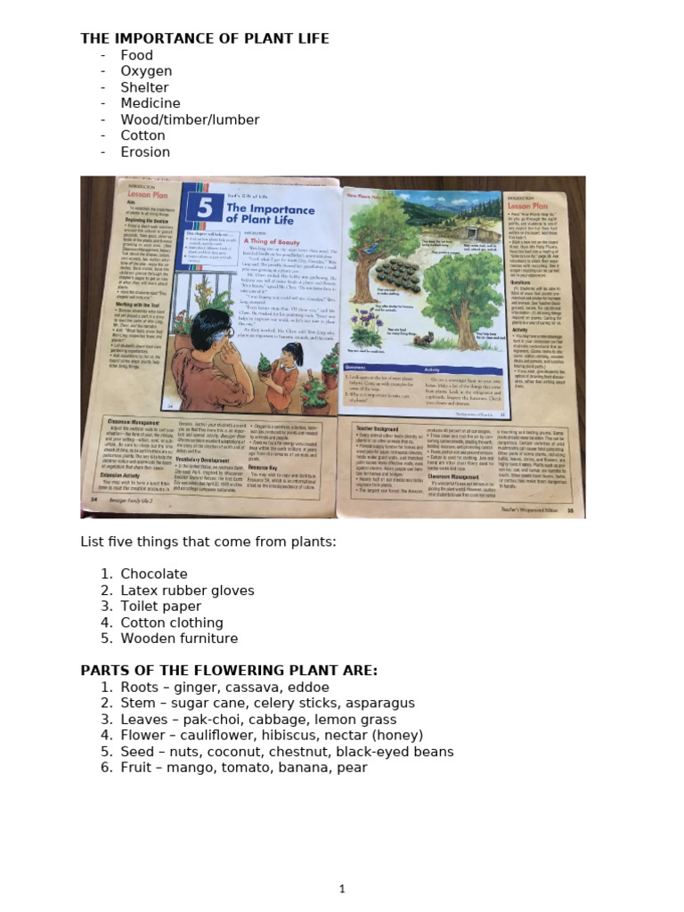 The Importance of Plant Life | PDF | Wellness | Science & Mathematics