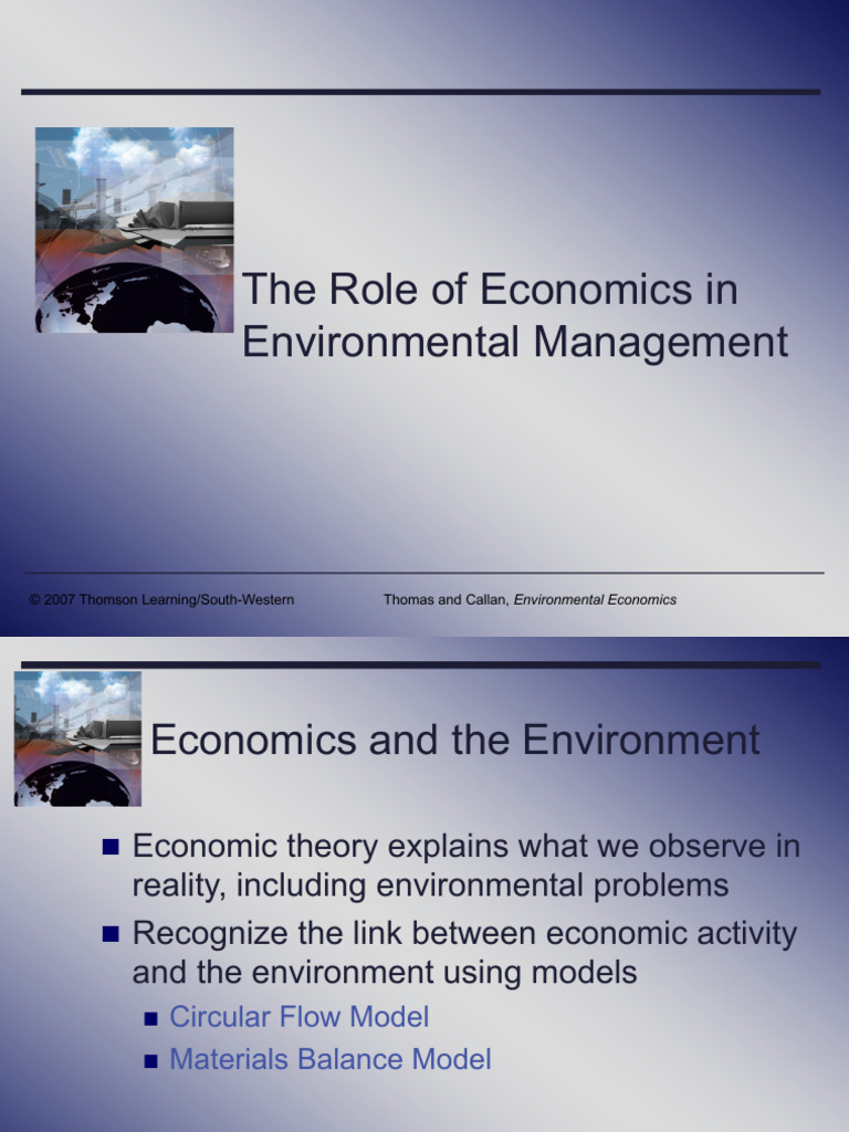 Economic Models in Environmental Management | PDF | Pollution ...