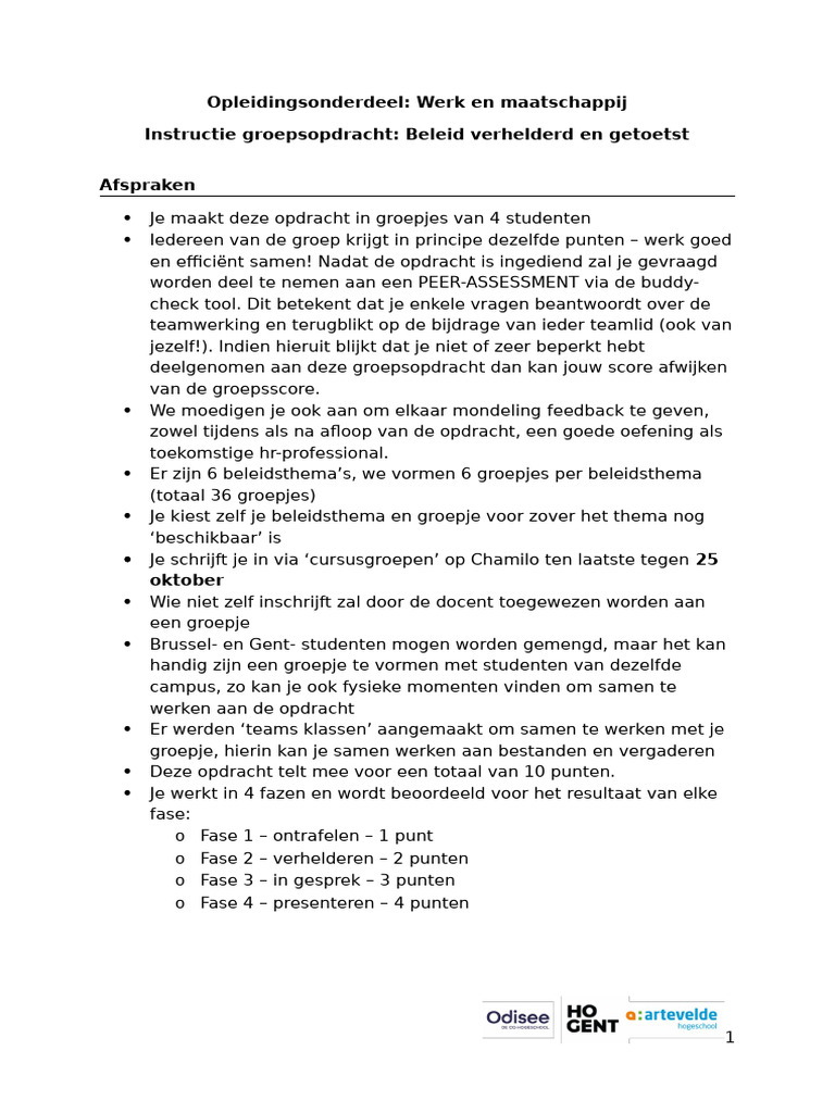 Instructie Opdracht Beleid Verhelderd en Getoetst | PDF