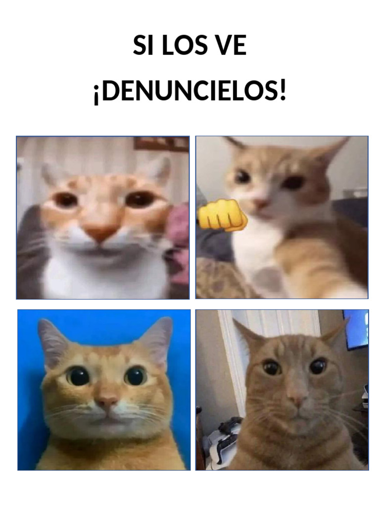 Denuncielos | PDF