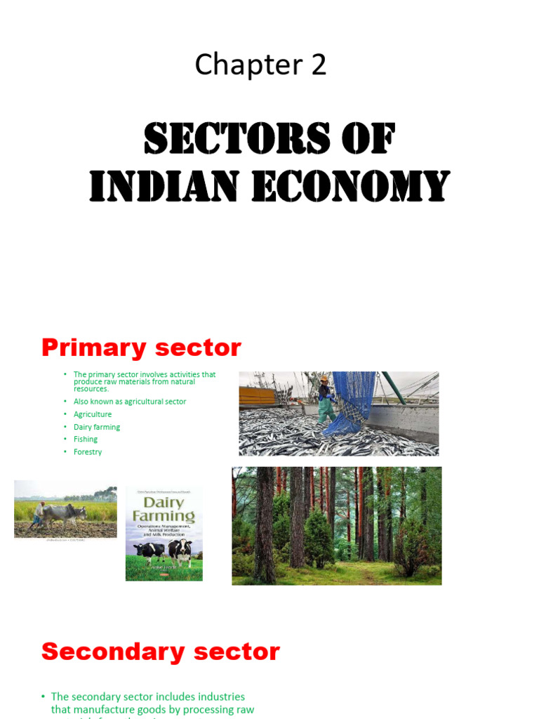 Sectors of Indian Economy (Refined) | PDF | Gross Domestic Product ...