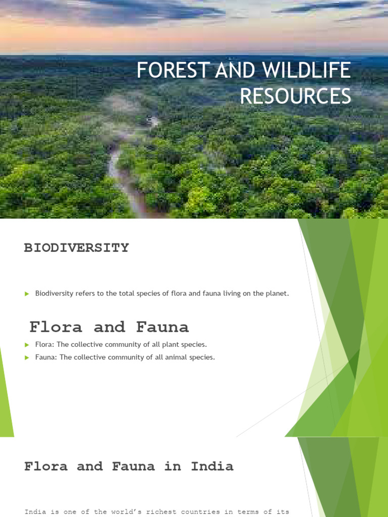 Conservation of Forests and Wildlife | PDF | Biodiversity | Endangered ...
