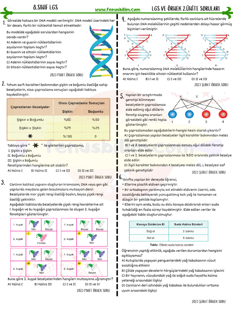8.sinif Lgs Ve Ornek 2.unite Sorulari Toner Dostu | PDF